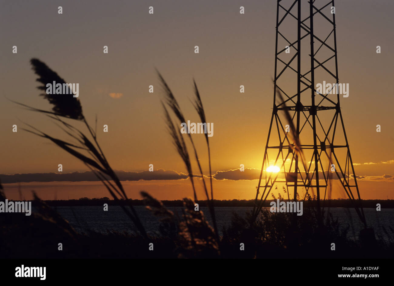 Electrical pylon at sunset next to sea Stock Photo - Alamy