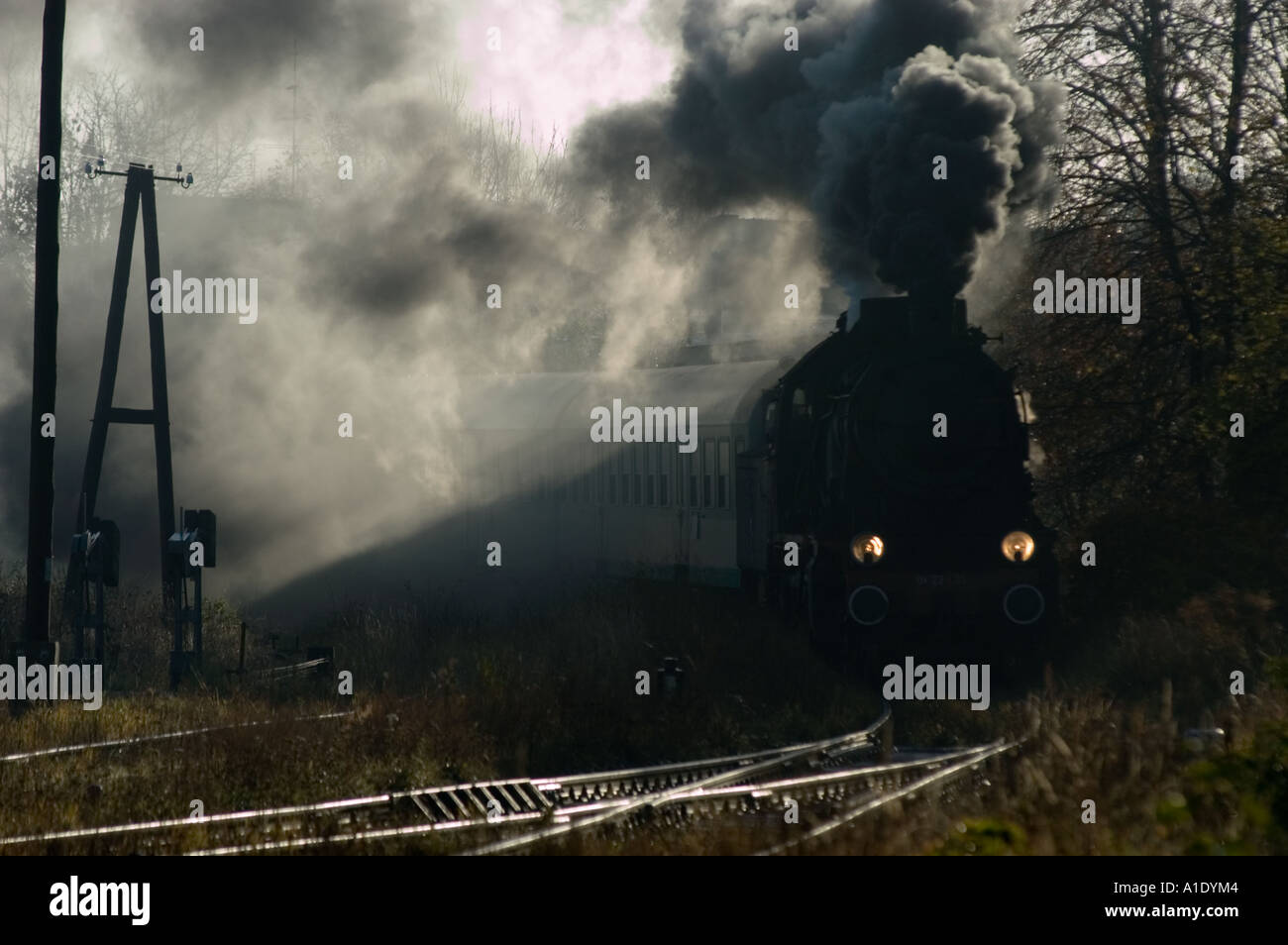 Wolsztyn Poznan Polish famous steam engine Train Wielkopolska Poland ...