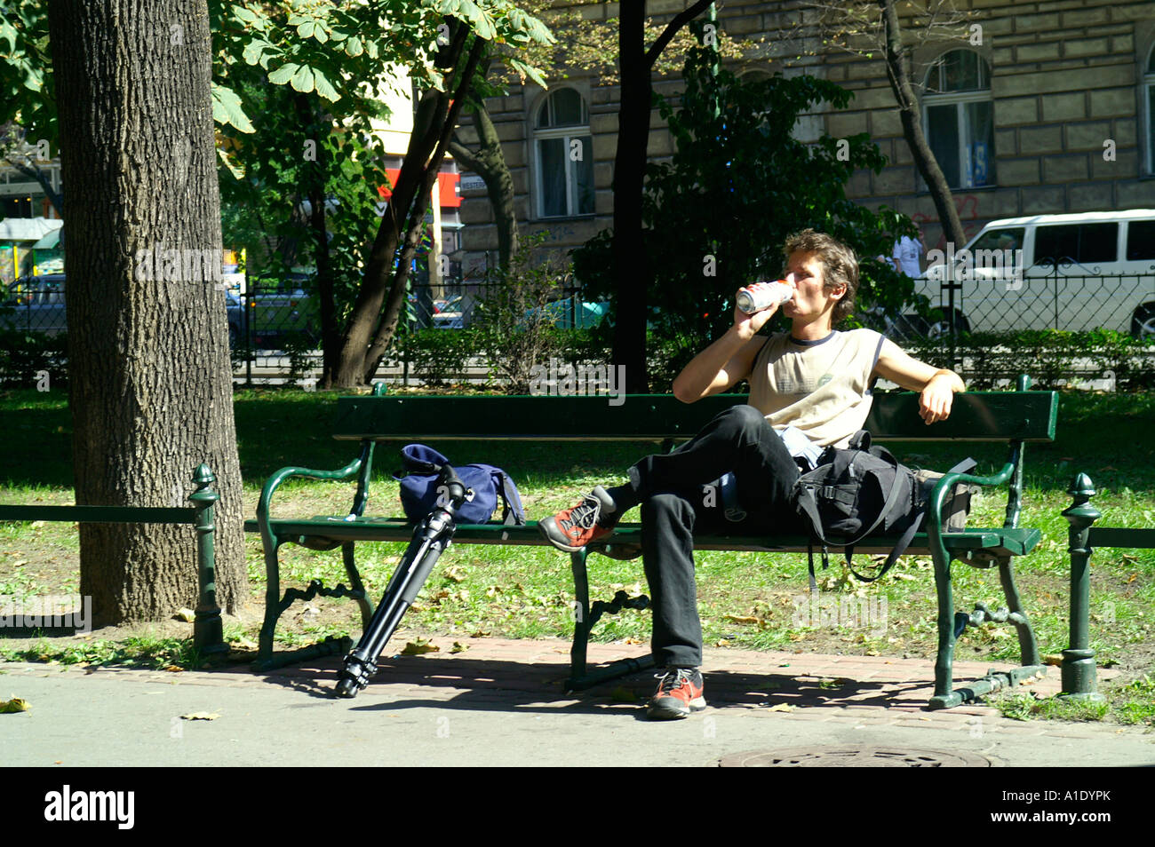 Man teenage drinking beer can sitting on bench in park in central ...