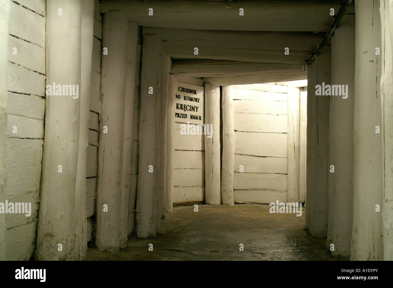 Mine adit hi-res stock photography and images - Alamy