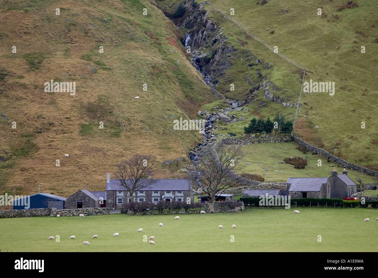 Two hill farms at the base of the Nant Ffrancon Valley in Snowdonia ...