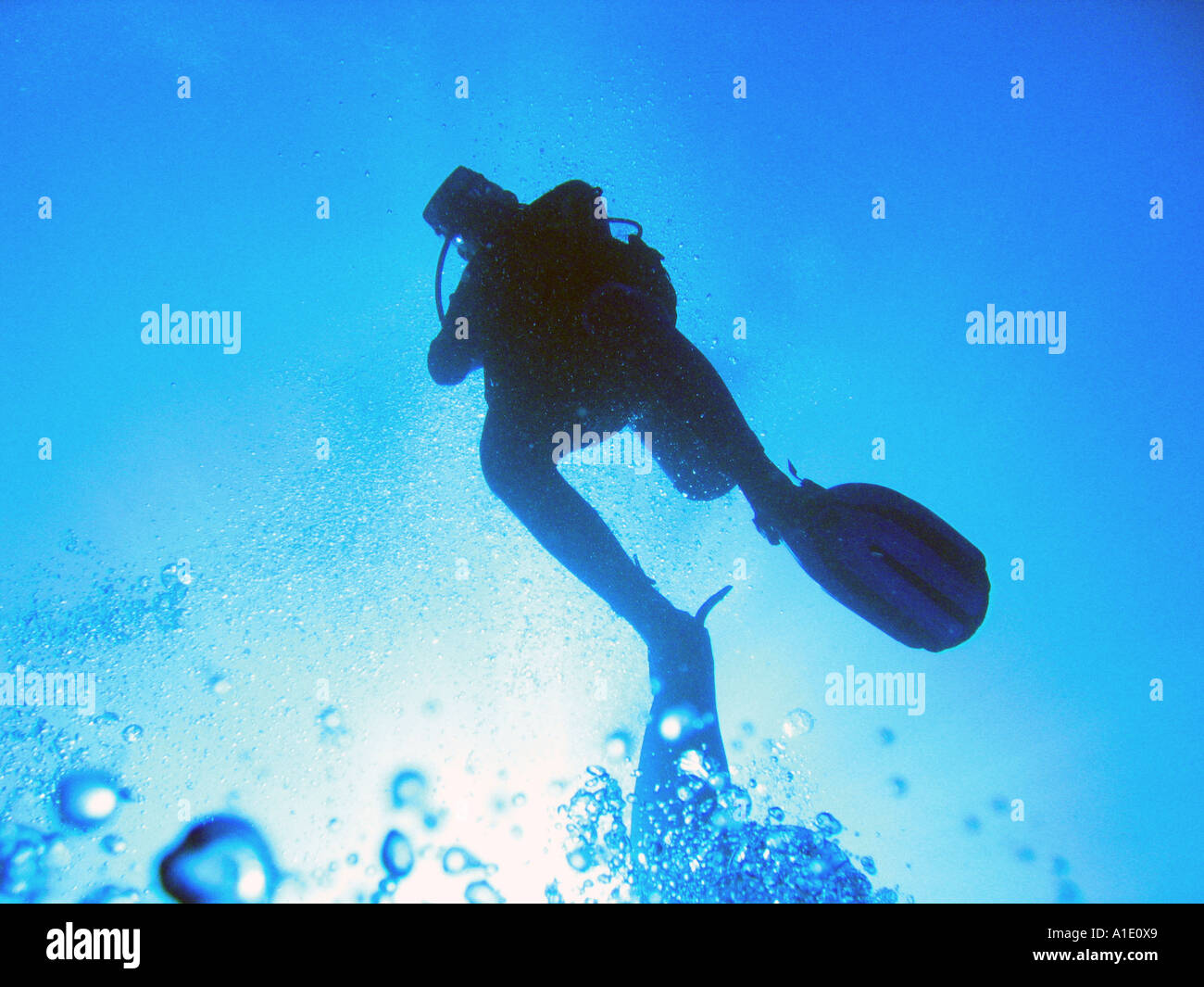 Diver diving into blue hi-res stock photography and images - Alamy