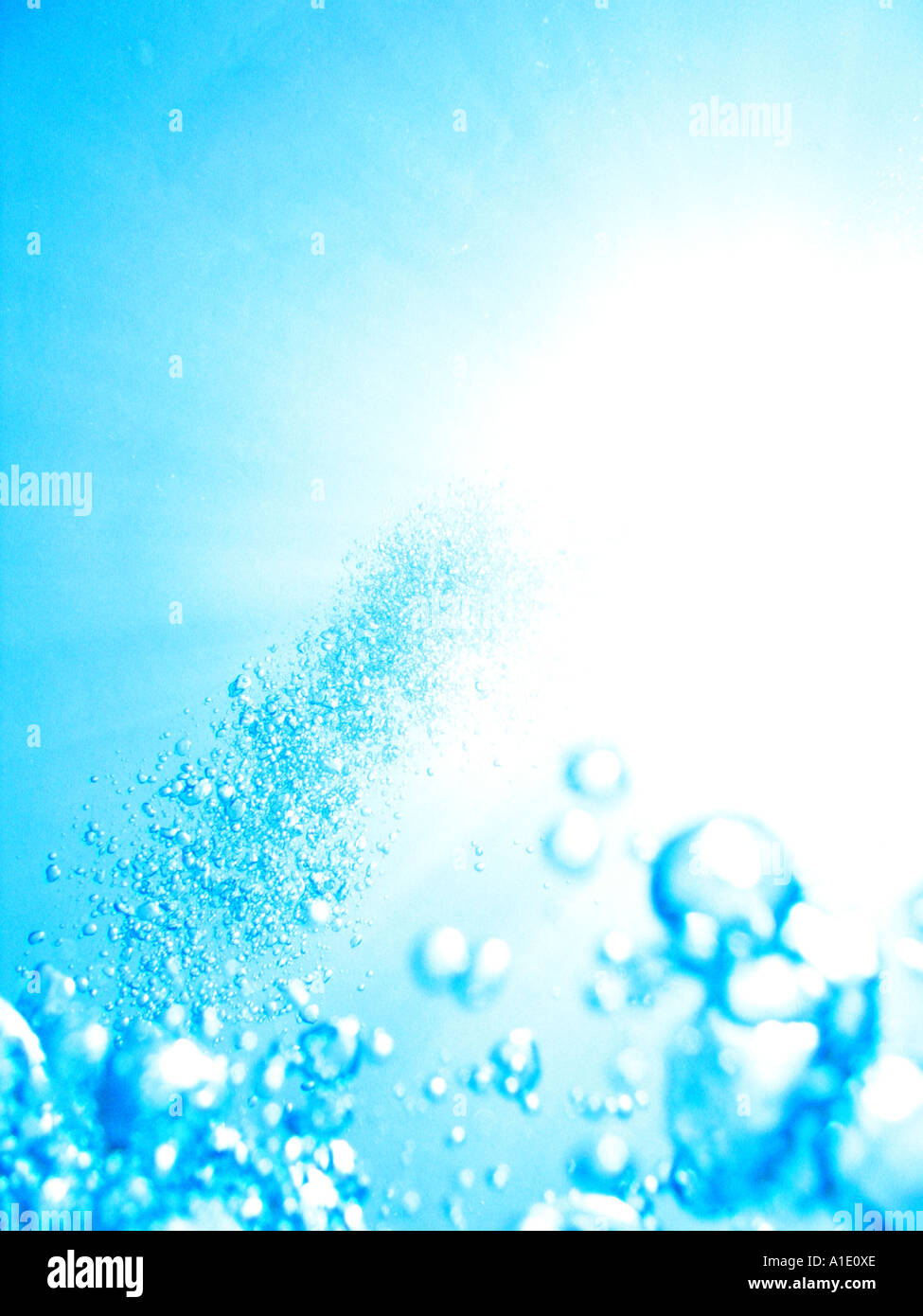Scuba diving maldives hi-res stock photography and images - Alamy