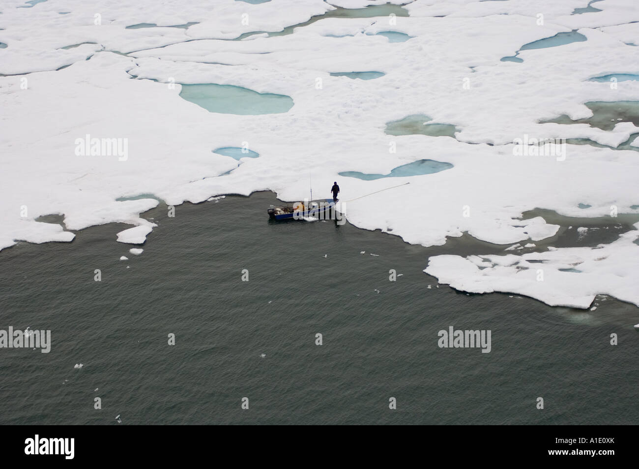 Barrow alaska sea ice hi-res stock photography and images - Alamy