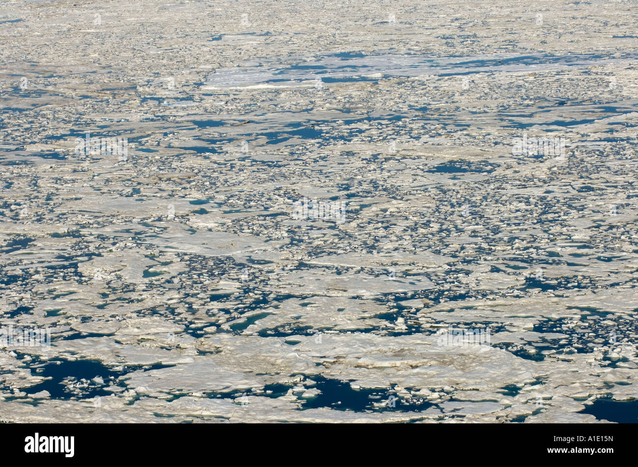 Arctic enviorment hi-res stock photography and images - Alamy