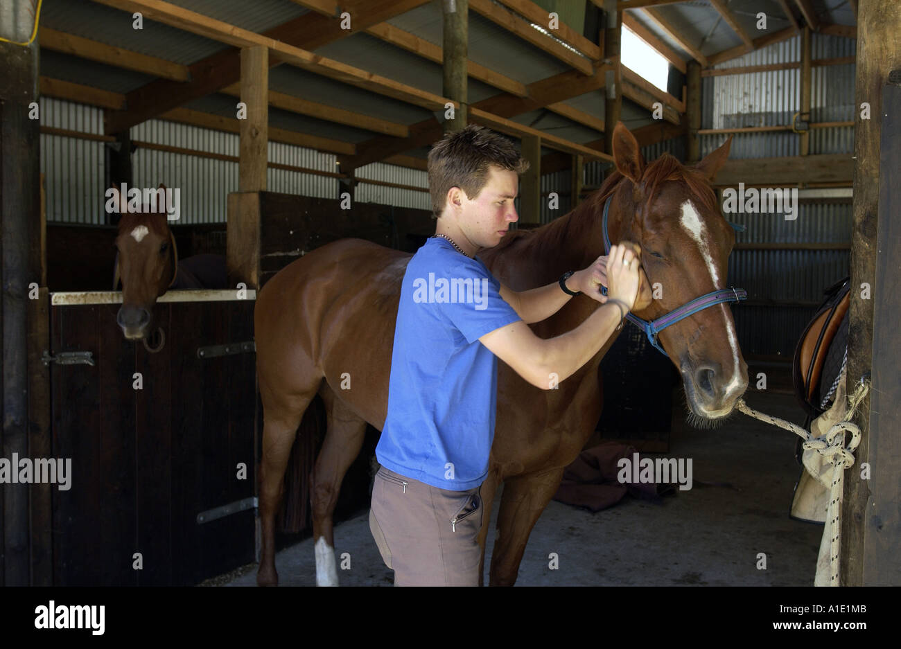 Half man half horse hi-res stock photography and images - Alamy