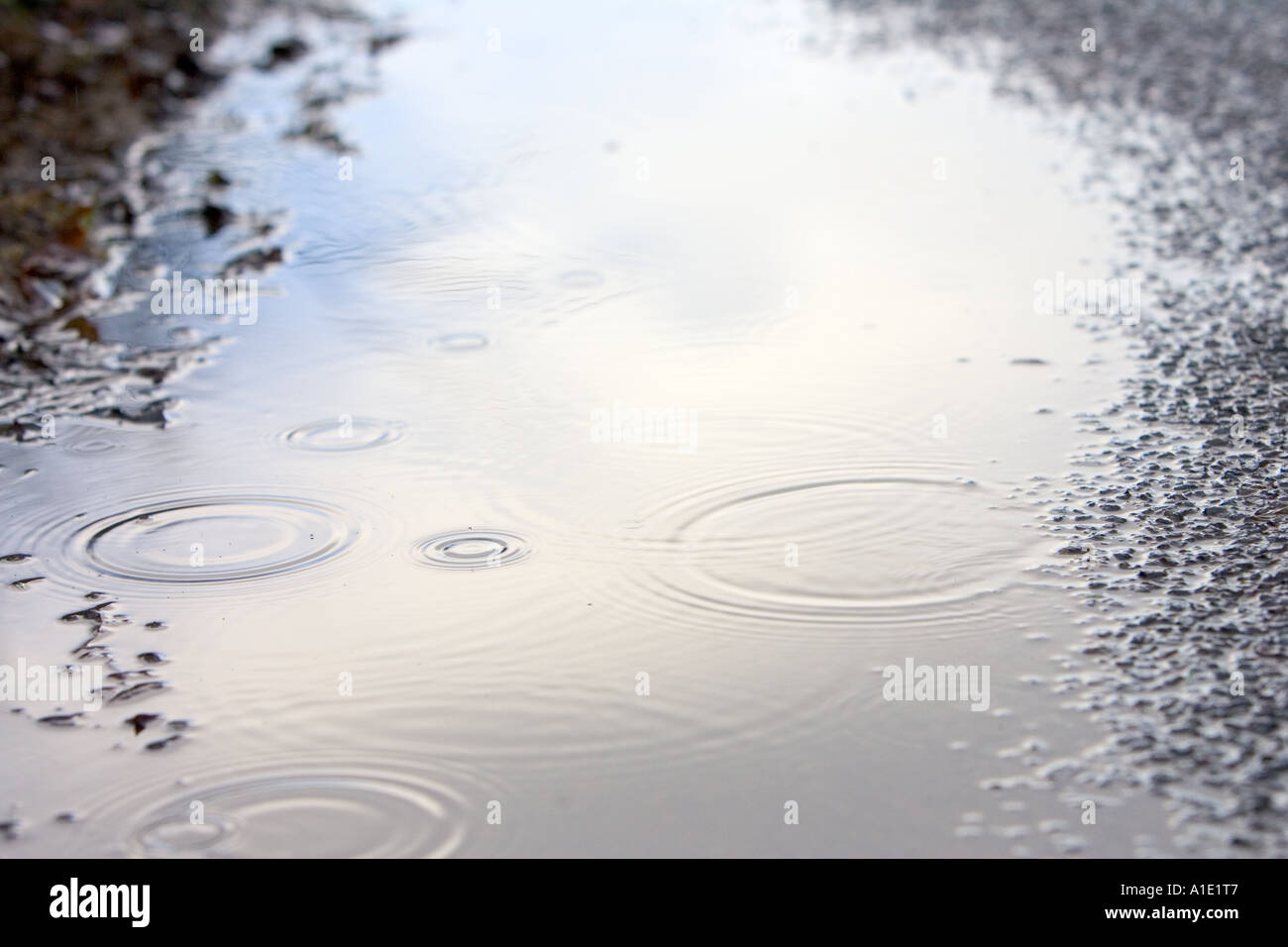 Puddles tarmacadam hi-res stock photography and images - Alamy
