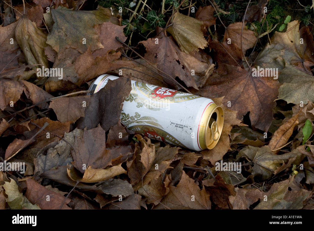 Beer cans litter hi-res stock photography and images - Alamy