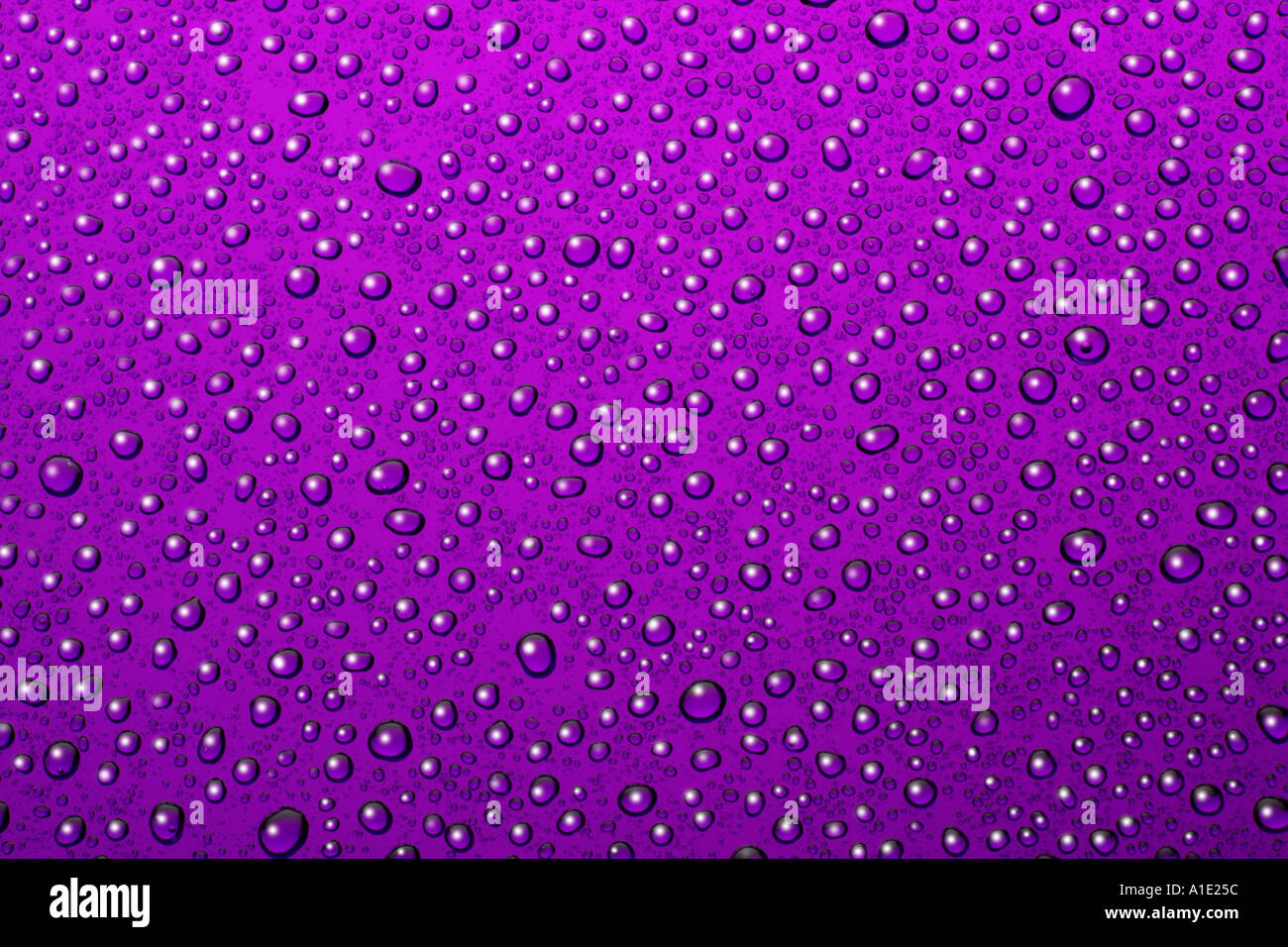 WATER DROPS PURPLE Stock Photo - Alamy
