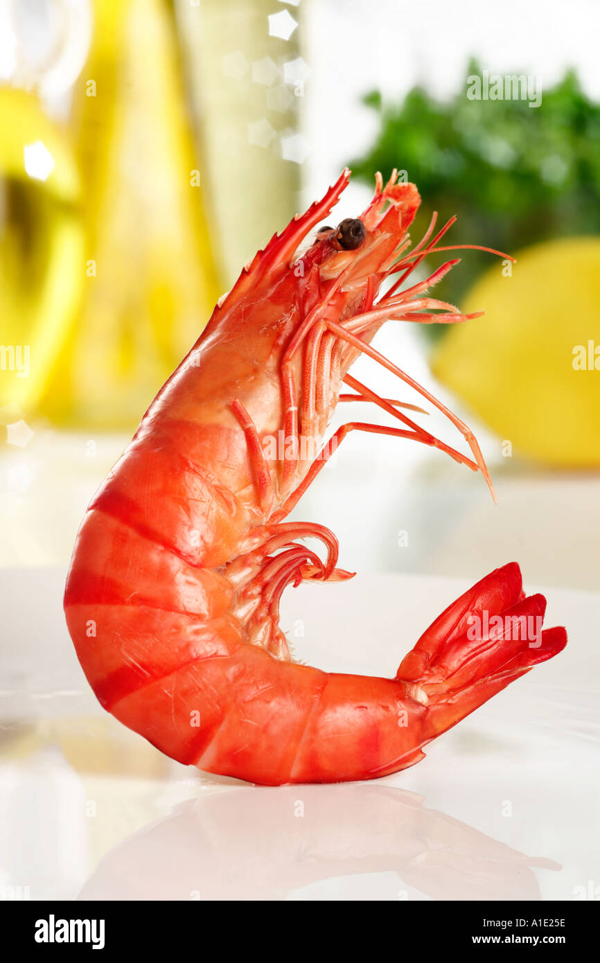 The prawn hi-res stock photography and images - Alamy