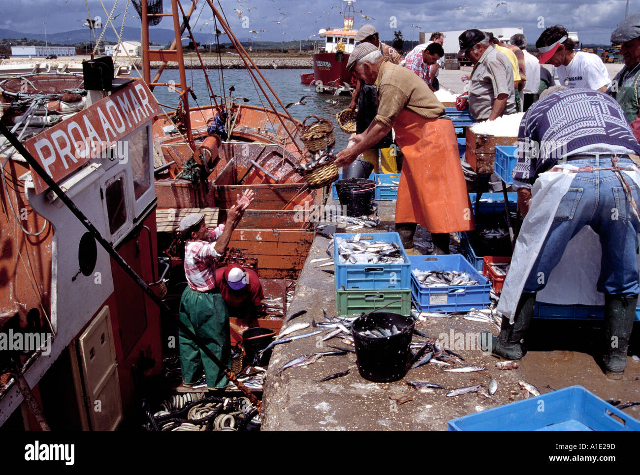 Crew from commercial fishing vessel hi-res stock photography and images ...