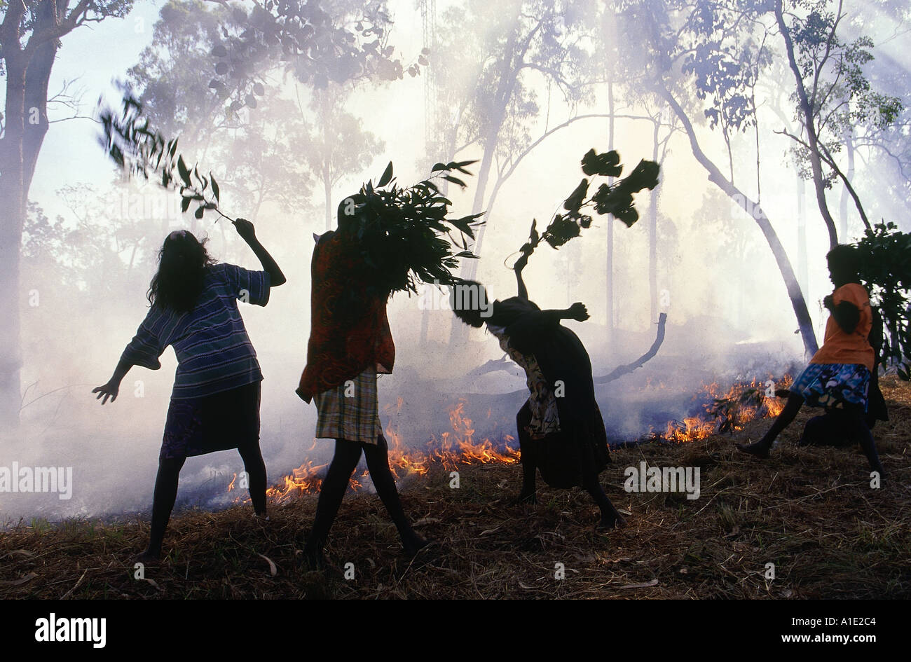 Aboriginal young people use branches with leaves to beat out an ...