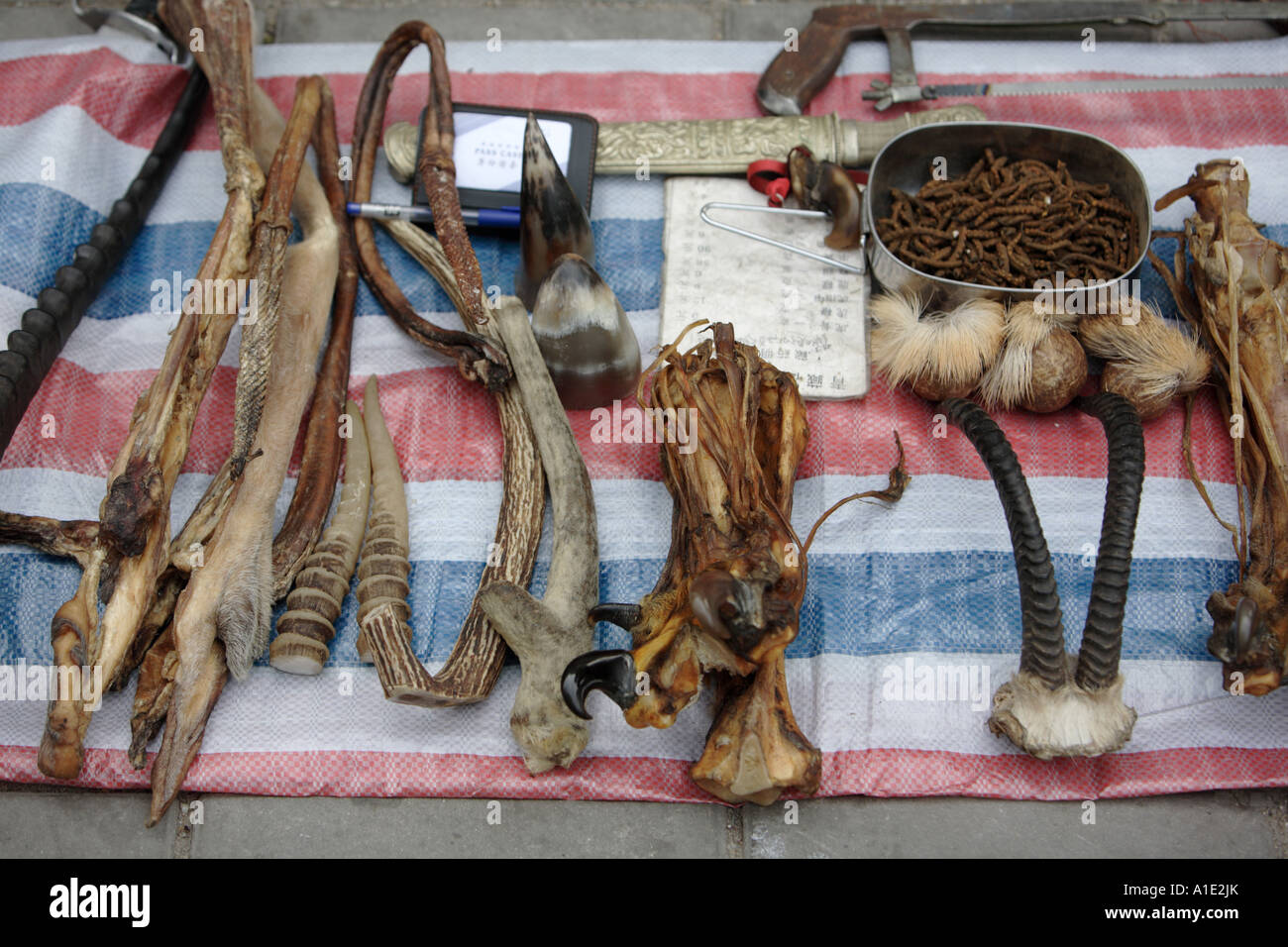 Animal Parts for Sale at Quingping Market Guangzhou Guangdong China ...