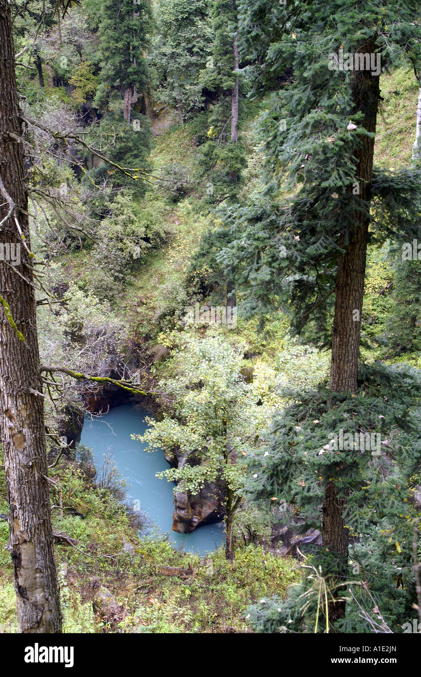 Forest and deep blue pool in Parvati Valley near trail between ...