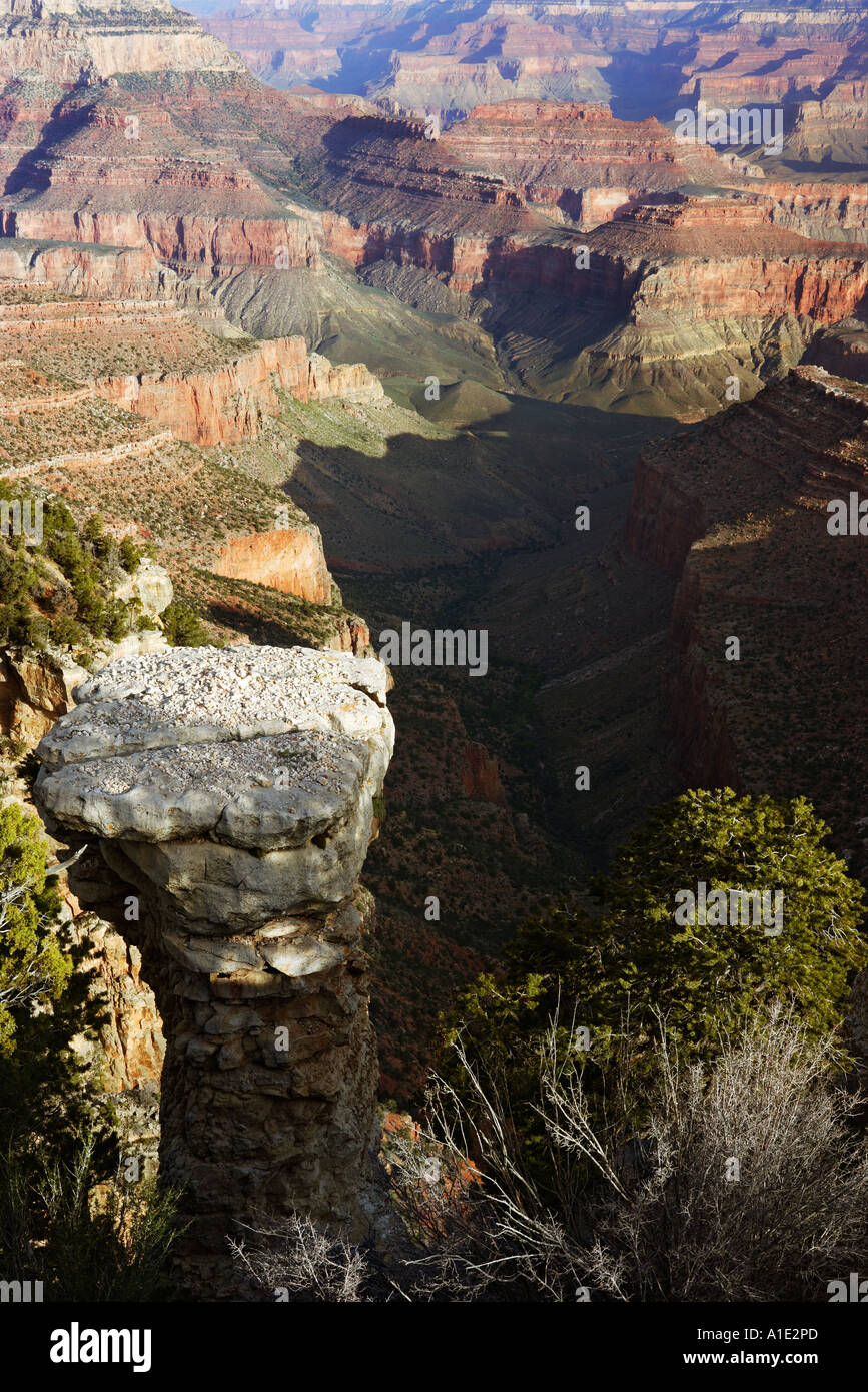 USA Grand Canyon View from Grandview point Stock Photo - Alamy