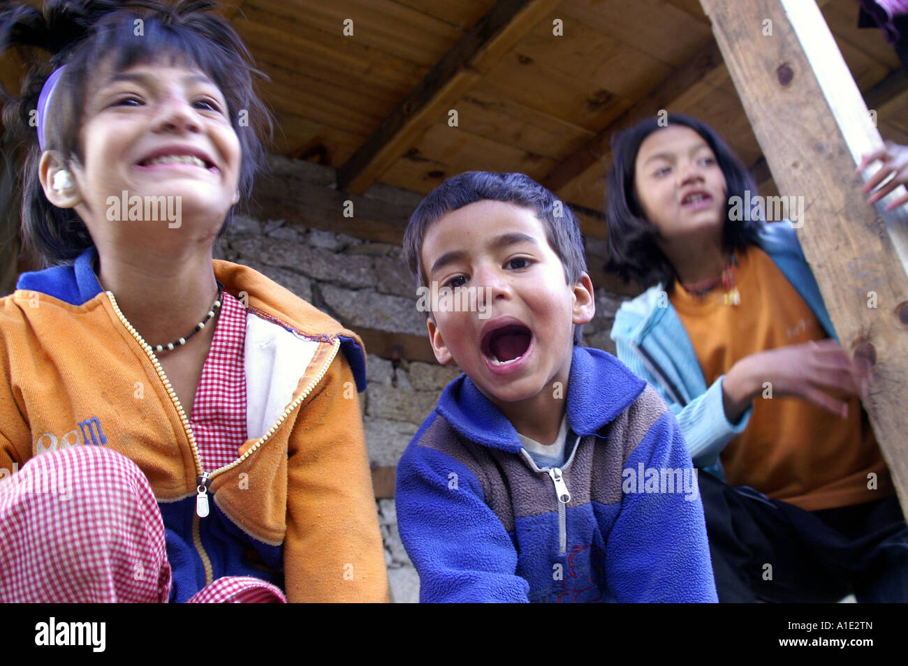 Three young native indian girl boy children smiling happy at terrace in ...