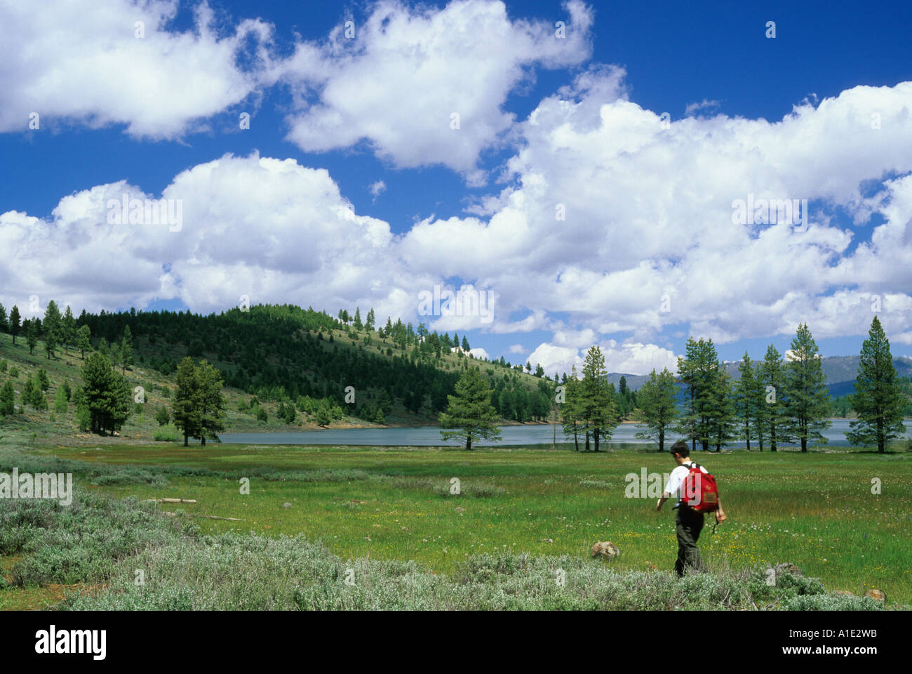 Stampede reservoir hi-res stock photography and images - Alamy