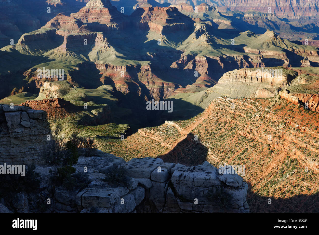 USA Grand Canyon View from Grandview point Stock Photo - Alamy