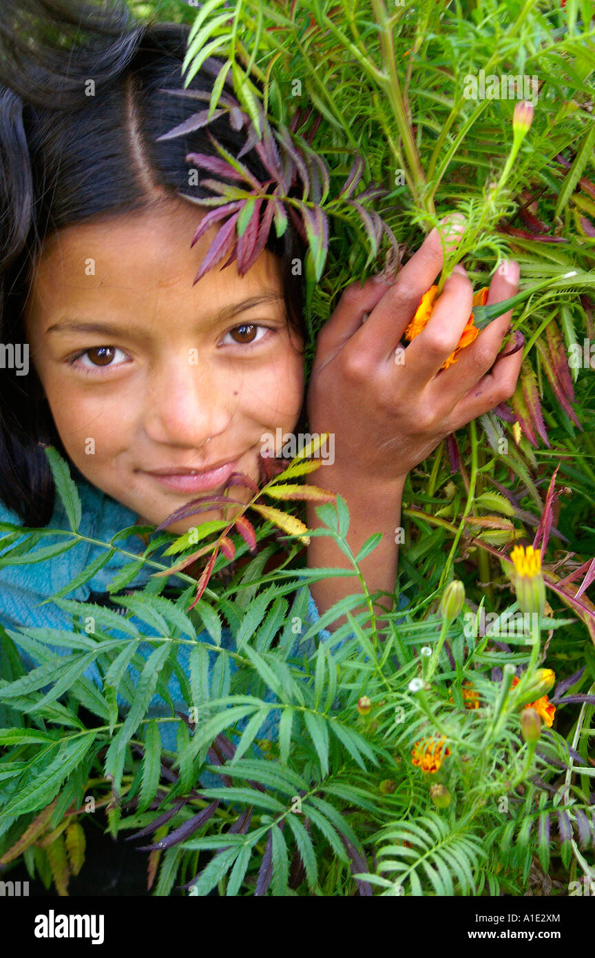 One young native indian girl child hiding happy in flowers patch in ...