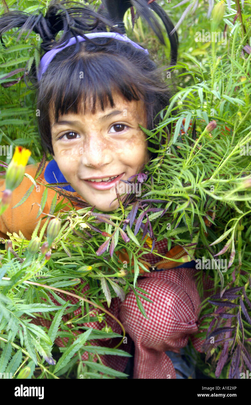 One young native indian girl child hiding happy in flowers patch in ...