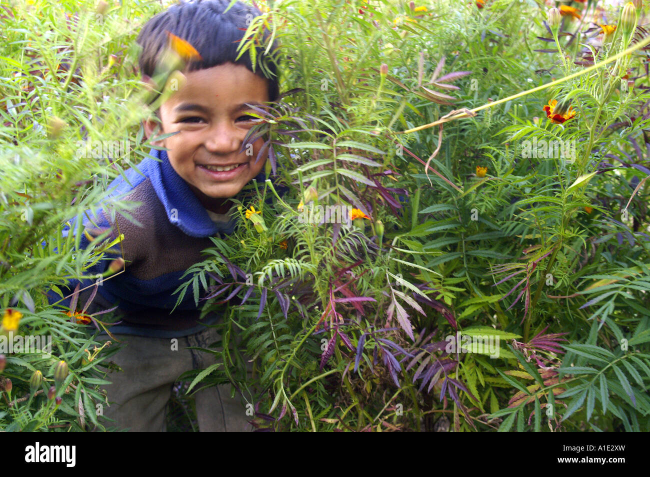 Native indian standing alone hi-res stock photography and images - Alamy