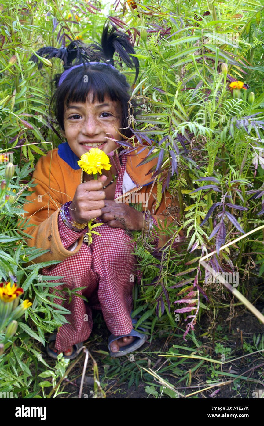 One young native indian girl child hiding happy holding yellow flower ...