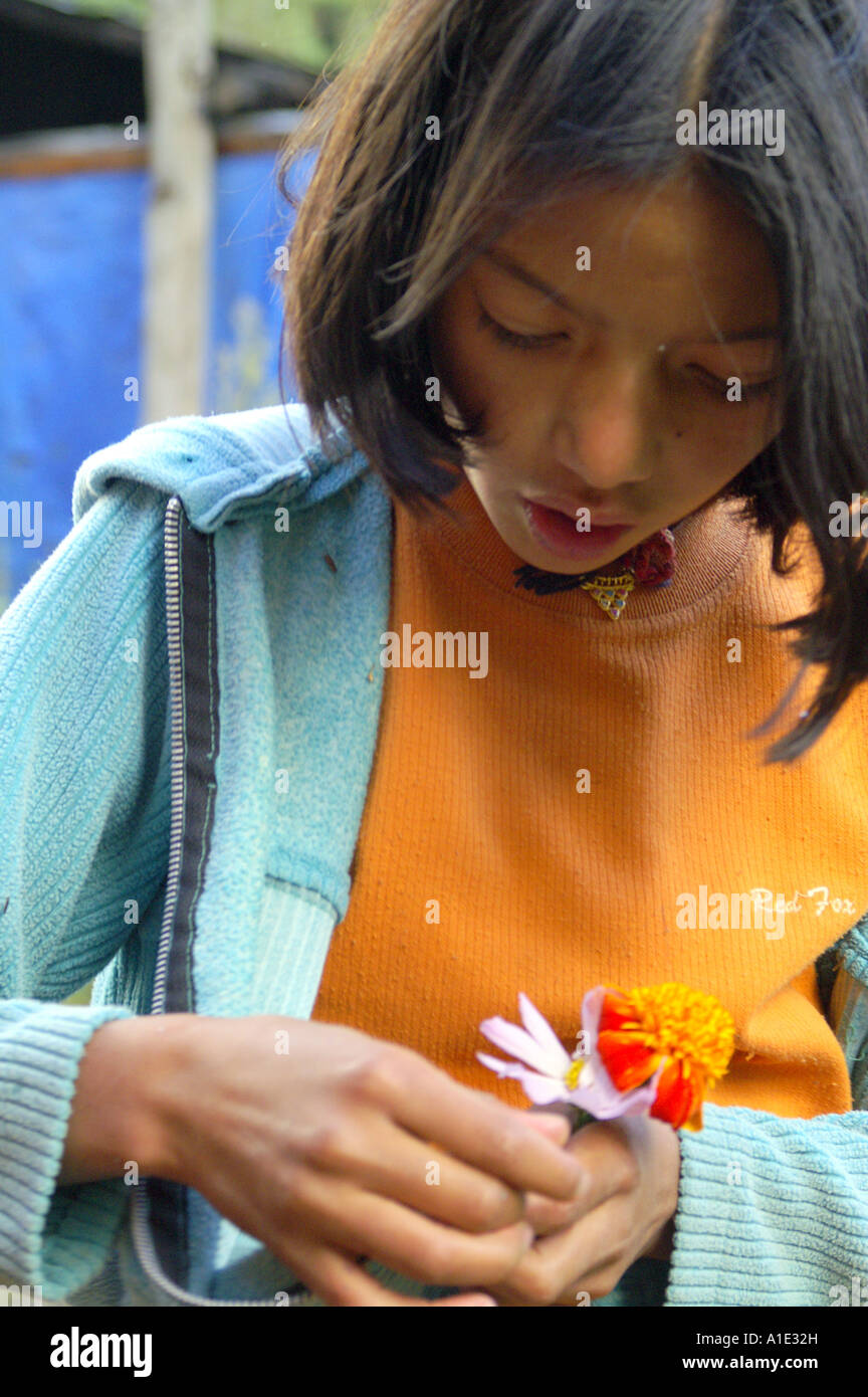One young native indian child girl face portrait holding plucked flower ...