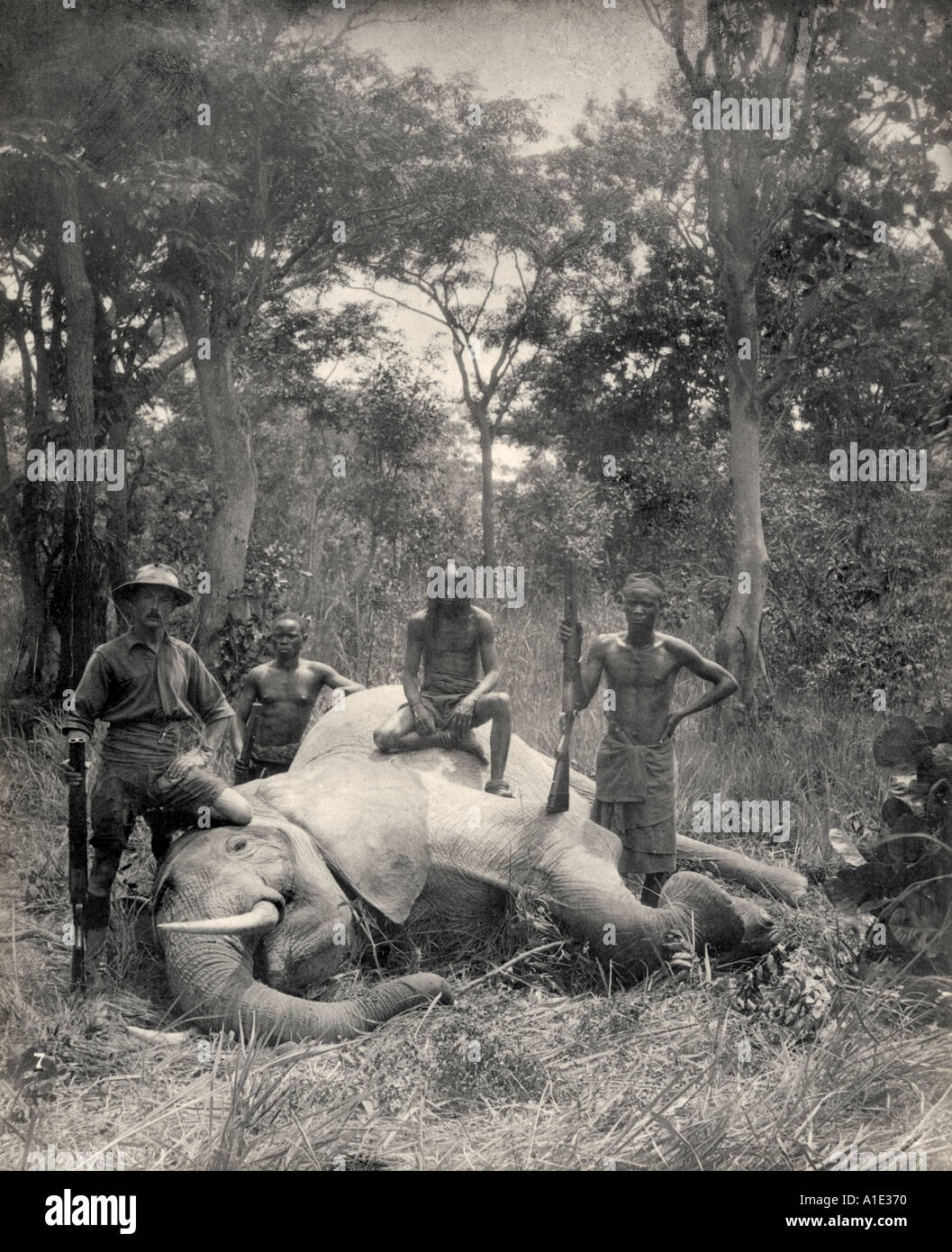 African hunter rifle hi-res stock photography and images - Alamy