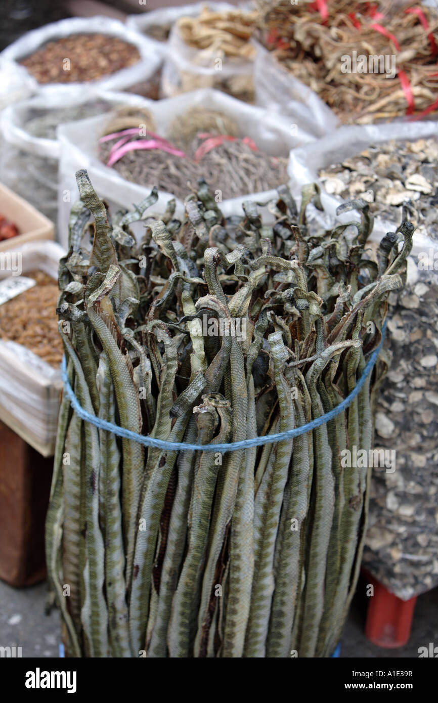 Snake Skins for sale at Guangzhou Market Guangzhou Guangdong China ...
