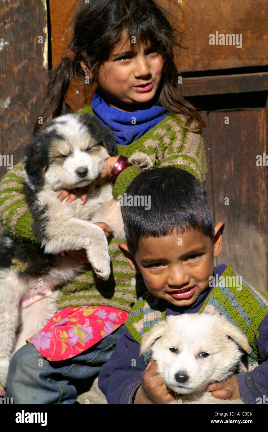Two young native indian child girl boy playing with fluffy white dog ...