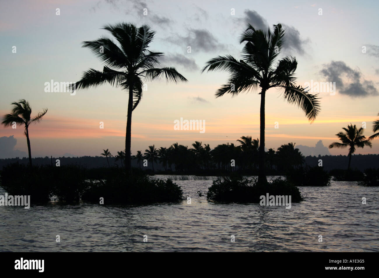 Lake Ashtamudi, Backwaters, Kerala India Stock Photo - Alamy