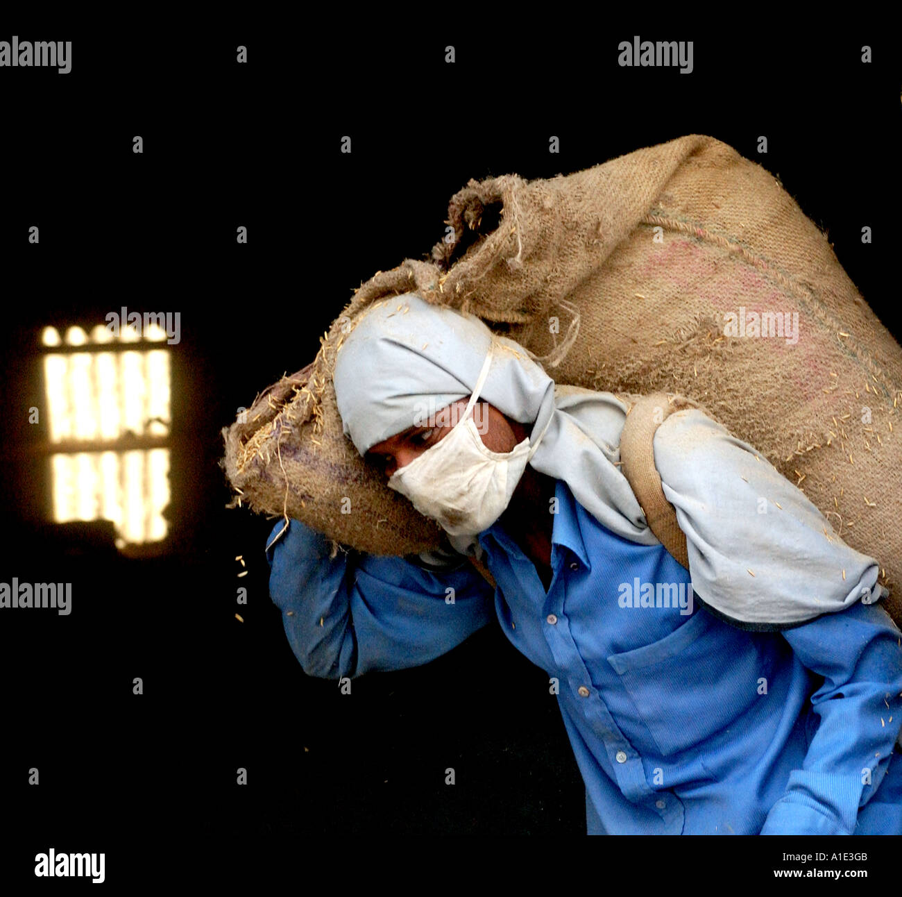 Poverty graphic commercial commodity production growing warehouse ...