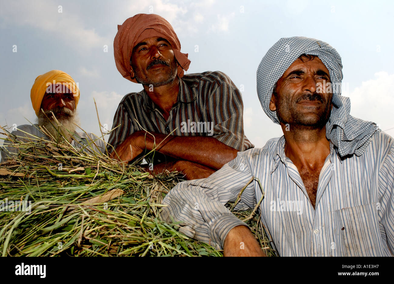 Farmers trading society hi-res stock photography and images - Alamy