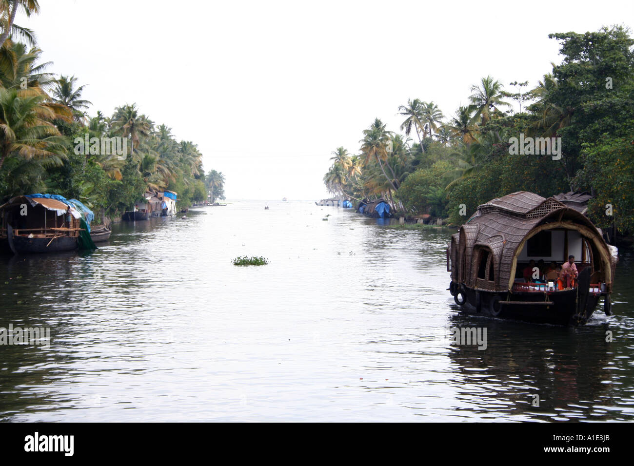Backwaters Kerala India Stock Photo - Alamy