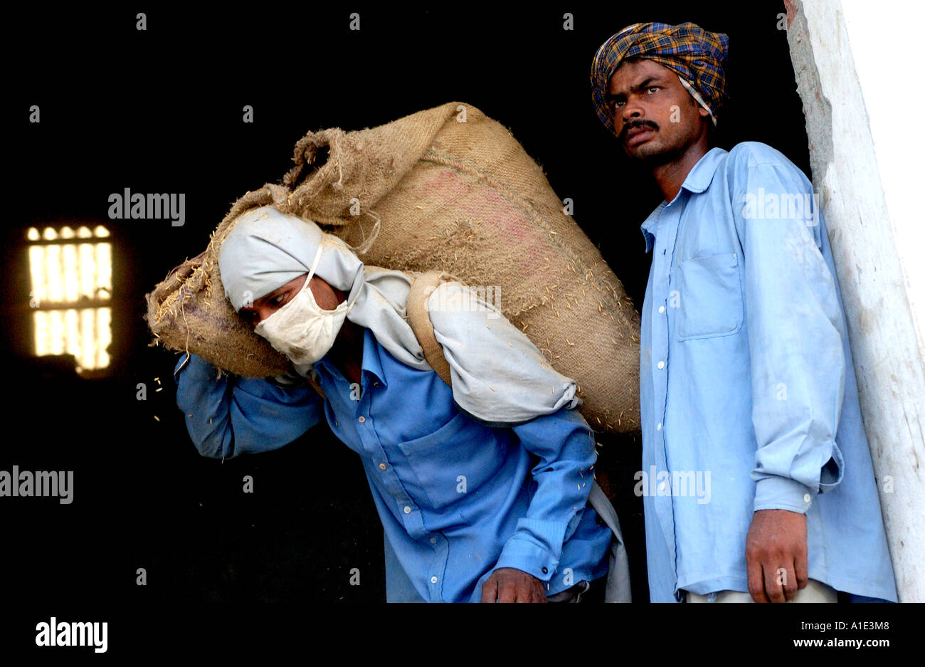 Rice farmer carrying sack of rice Stock Photo - Alamy