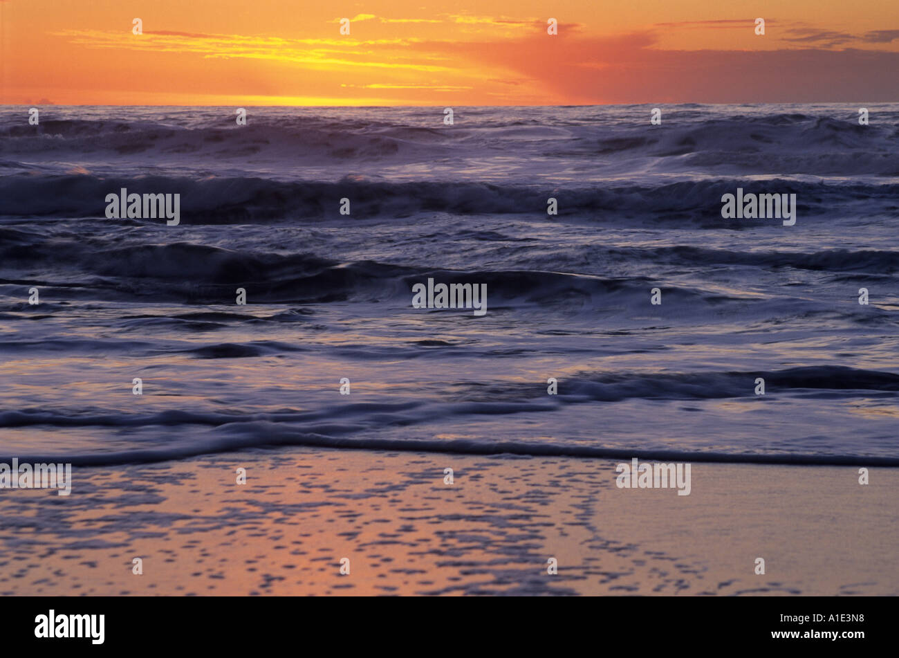 Pomponio state beach san francisco hi-res stock photography and images ...