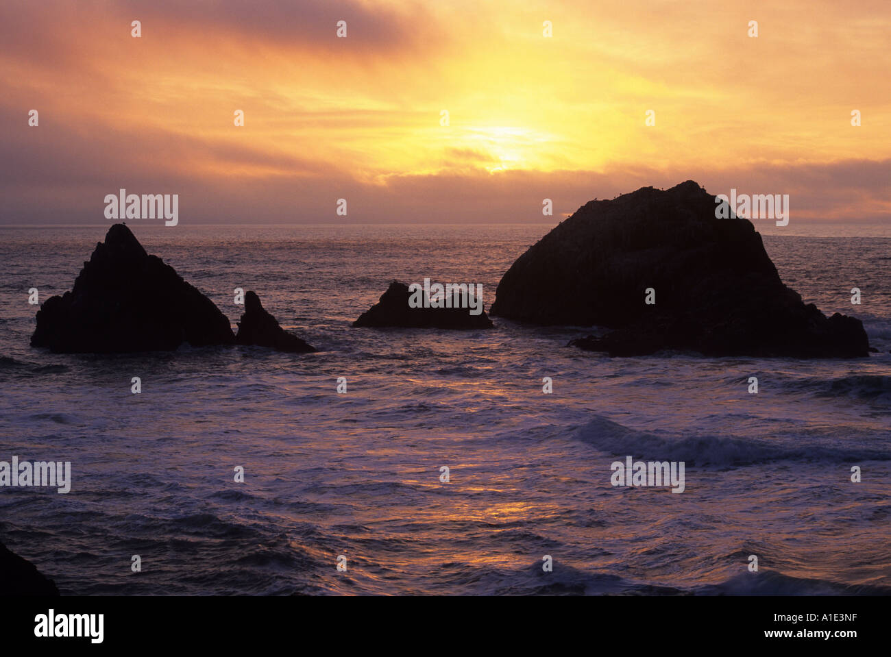 Cliff house seal rocks golden hi-res stock photography and images - Alamy