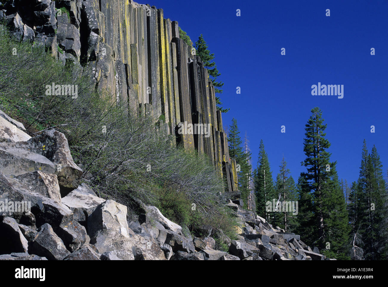 Basalt columns Devil s Postpile National Monument California United ...
