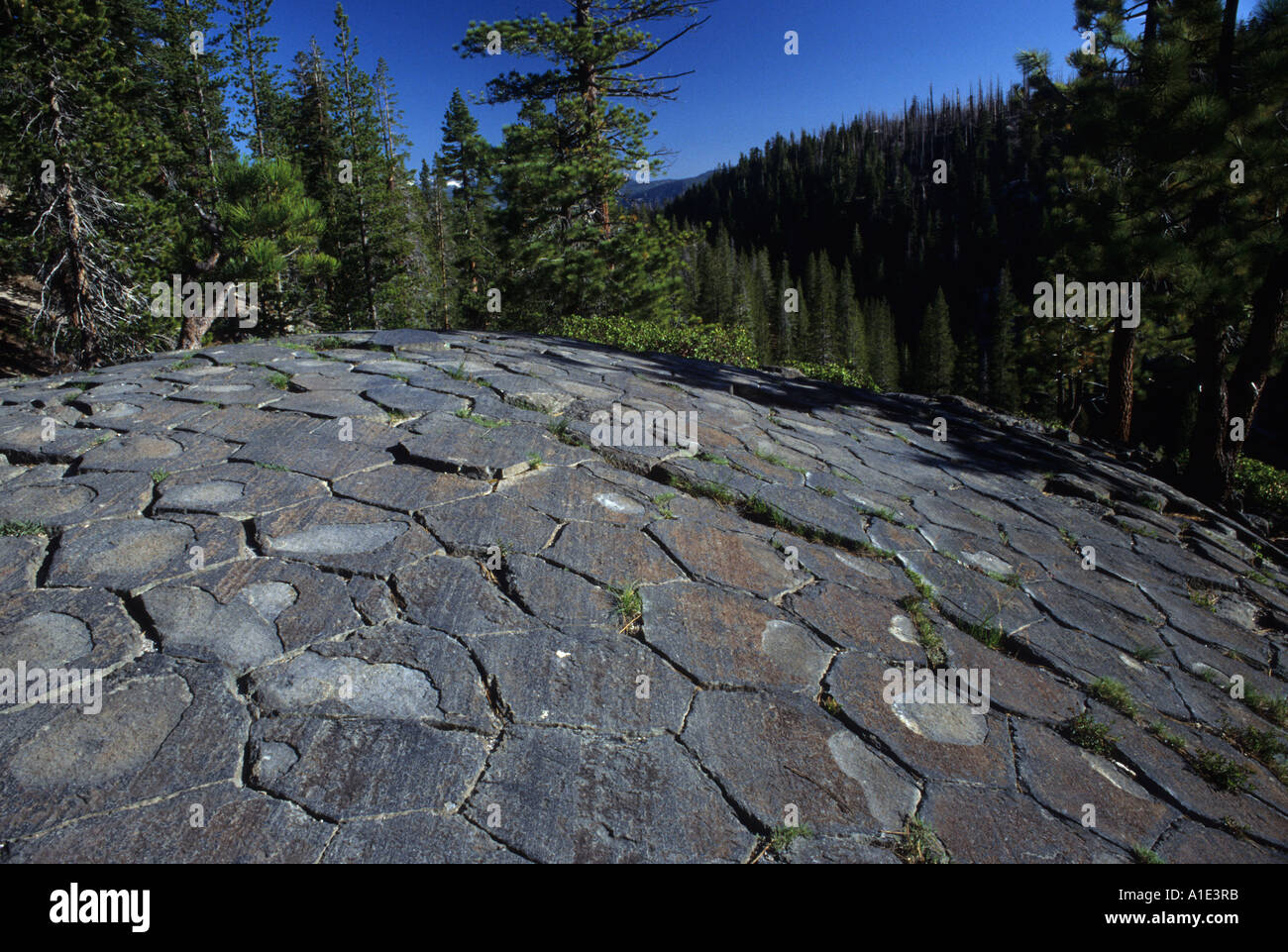 Glacially polished basalt columns Devil s Postpile National Monument ...