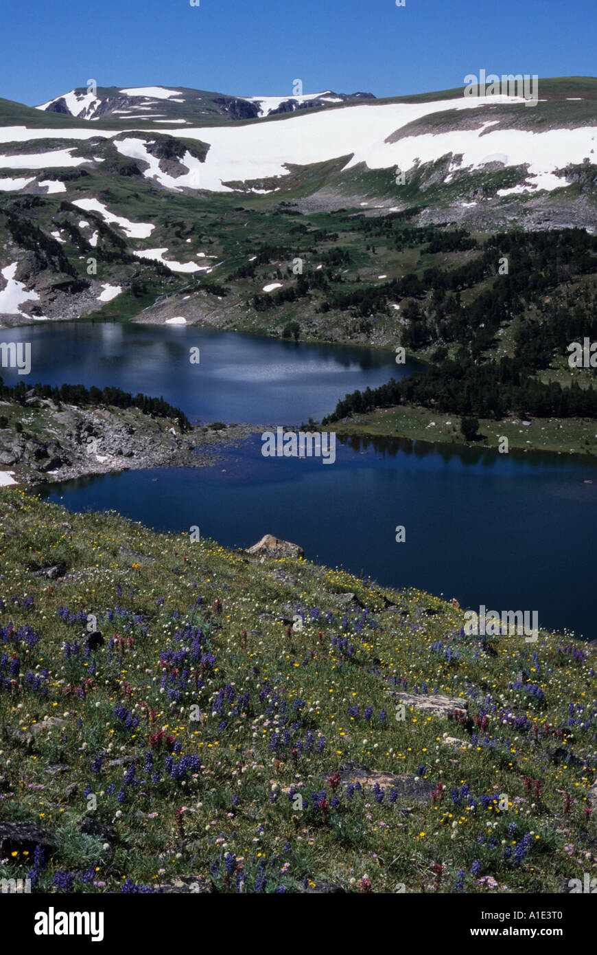 Beartooth national scenic byway hi-res stock photography and images - Alamy