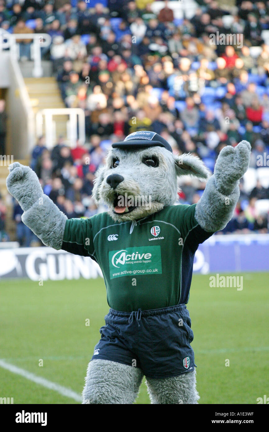London Irish Rugby Club mascot Digger at The Madejski Stadium, Reading ...