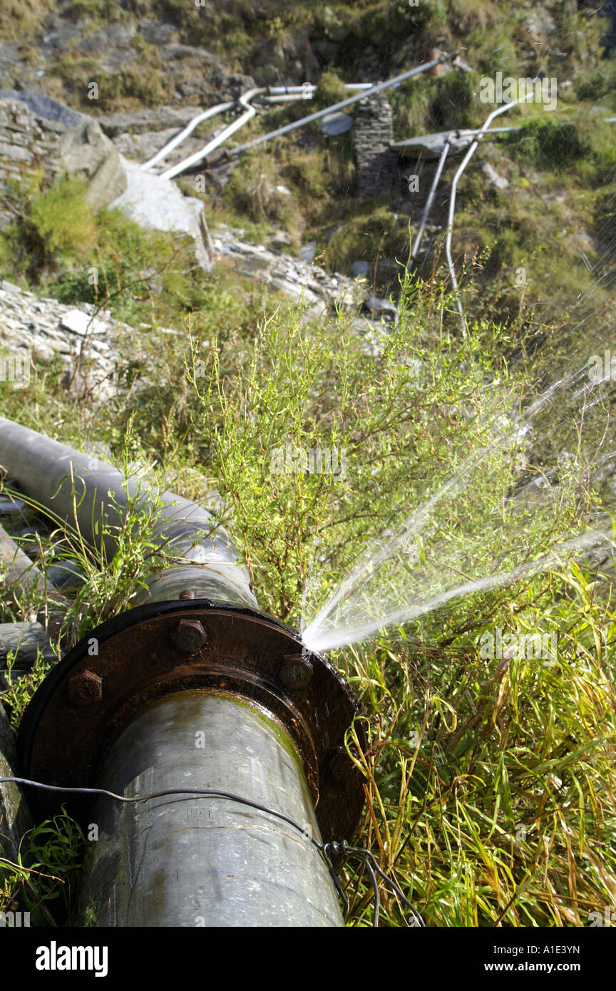 Perfunctorily hi-res stock photography and images - Alamy