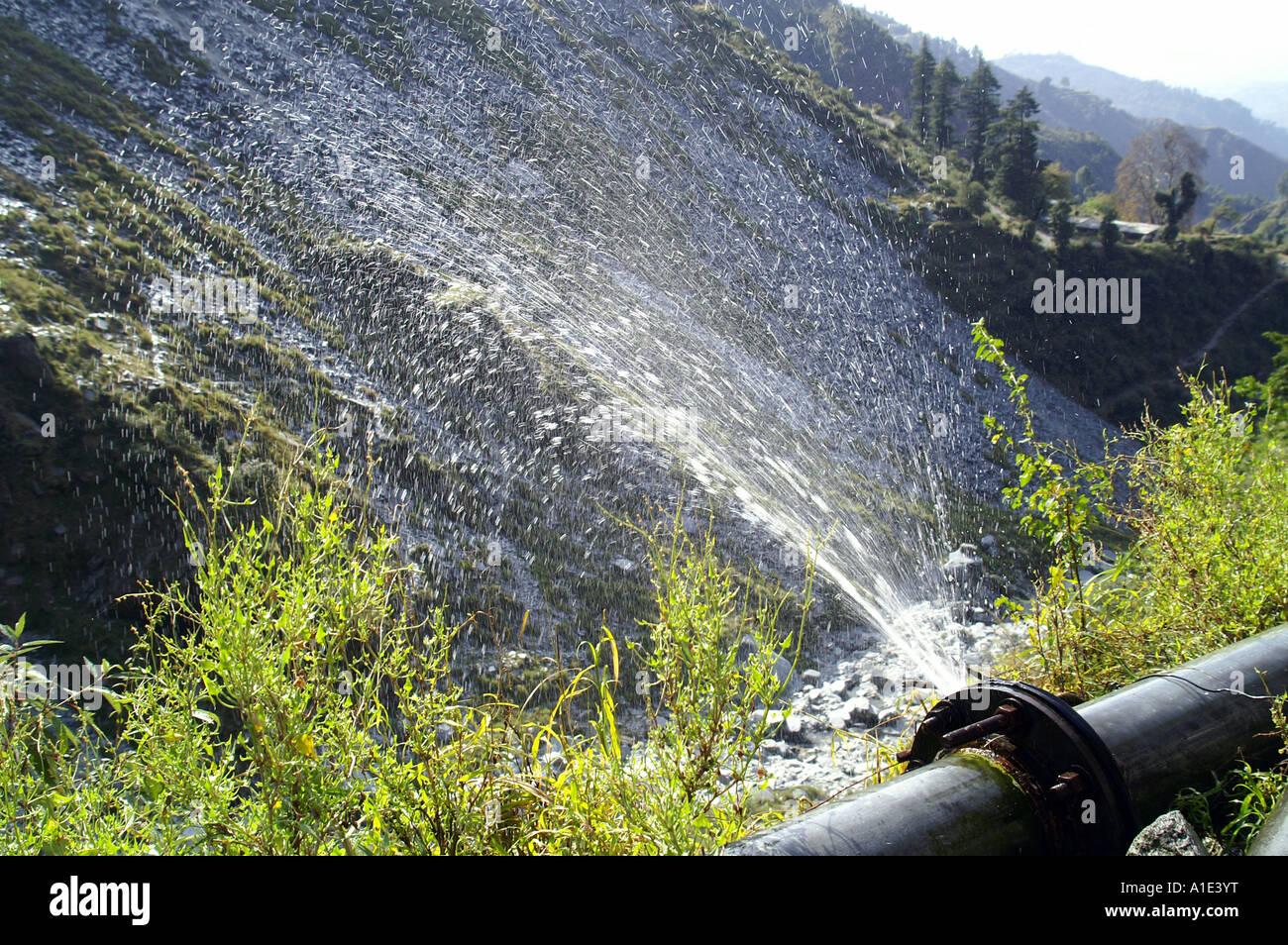 Perfunctorily hi-res stock photography and images - Alamy