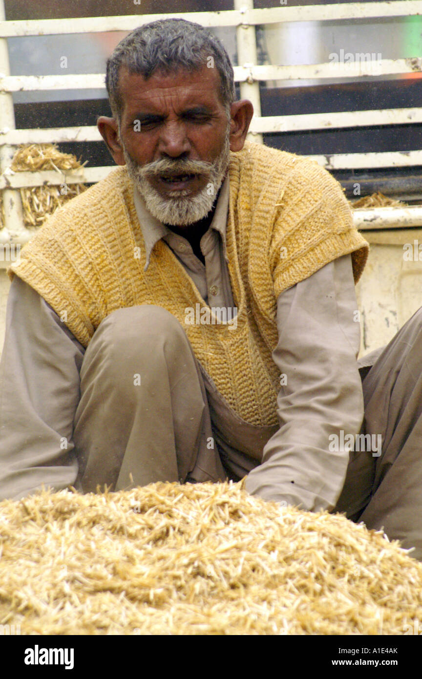 Old indian man with rake hi-res stock photography and images - Alamy