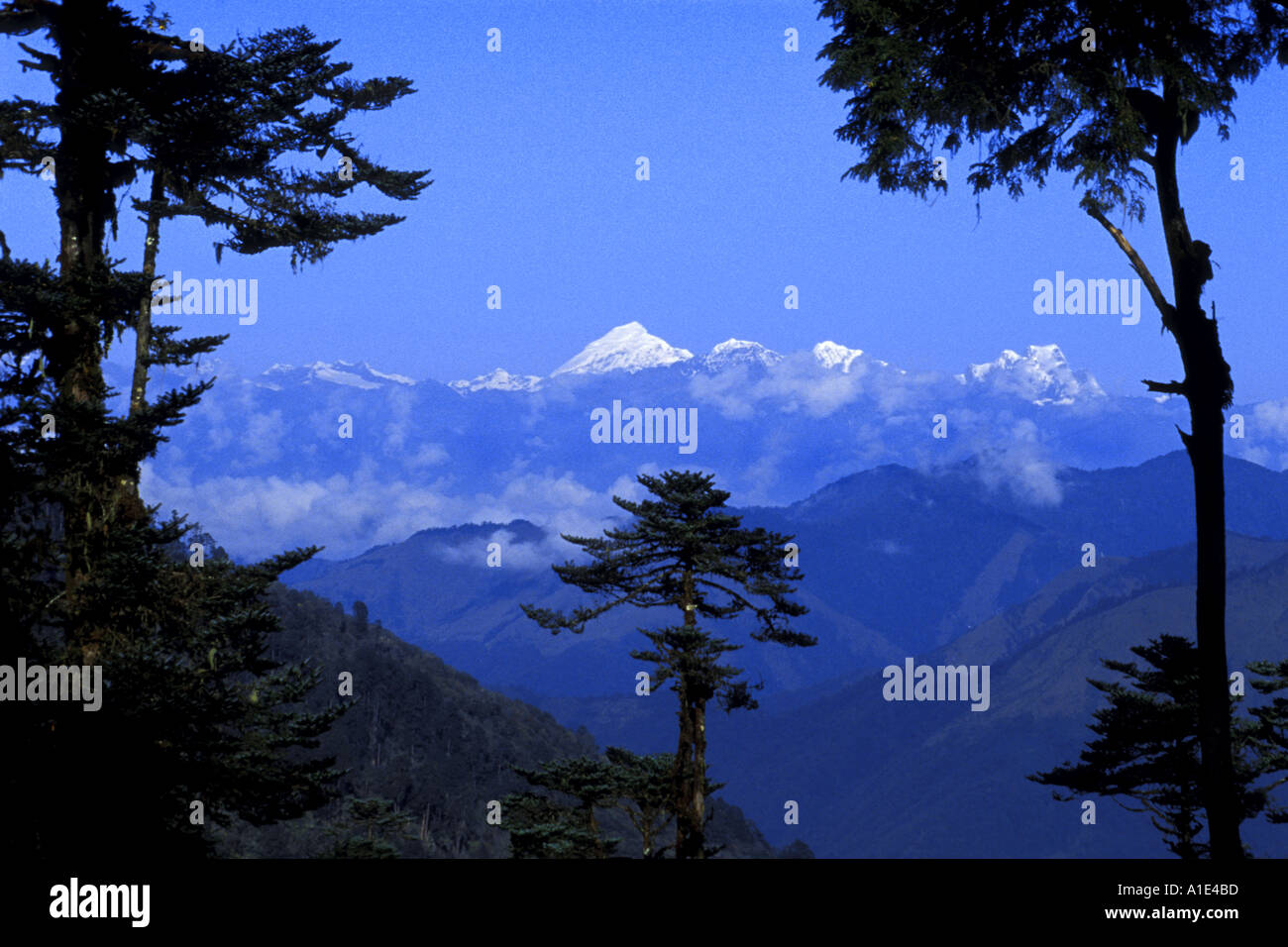 Jichu drake hi-res stock photography and images - Alamy