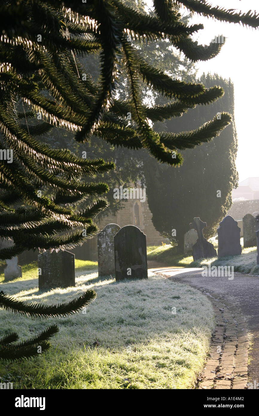 Lodsworth village hi-res stock photography and images - Alamy