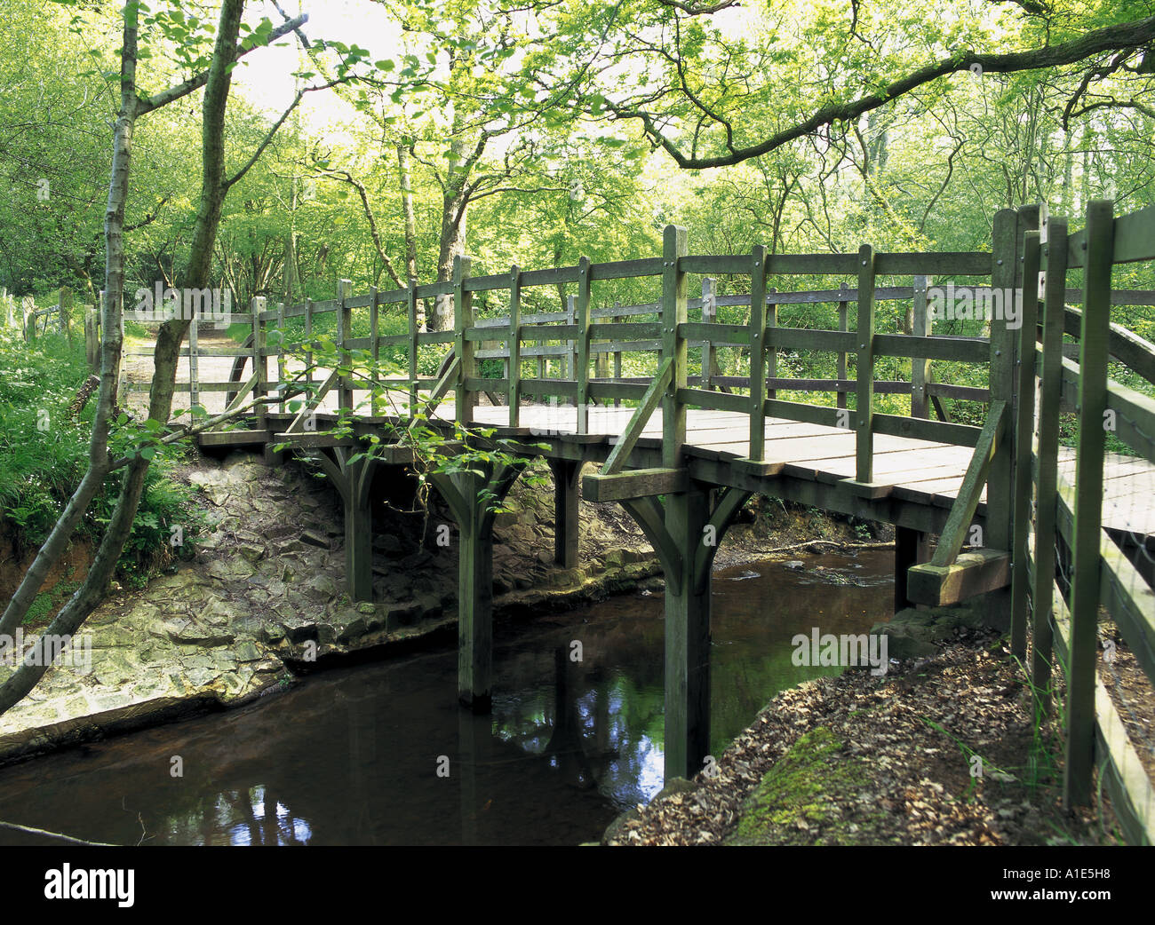 Winnie the Pooh Bridge at Hartfield in Sussex, England Stock Photo - Alamy