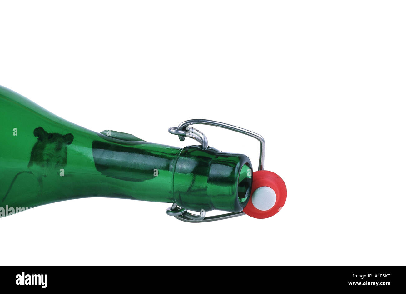 African pygmy mouse mus minutoides hi-res stock photography and images ...