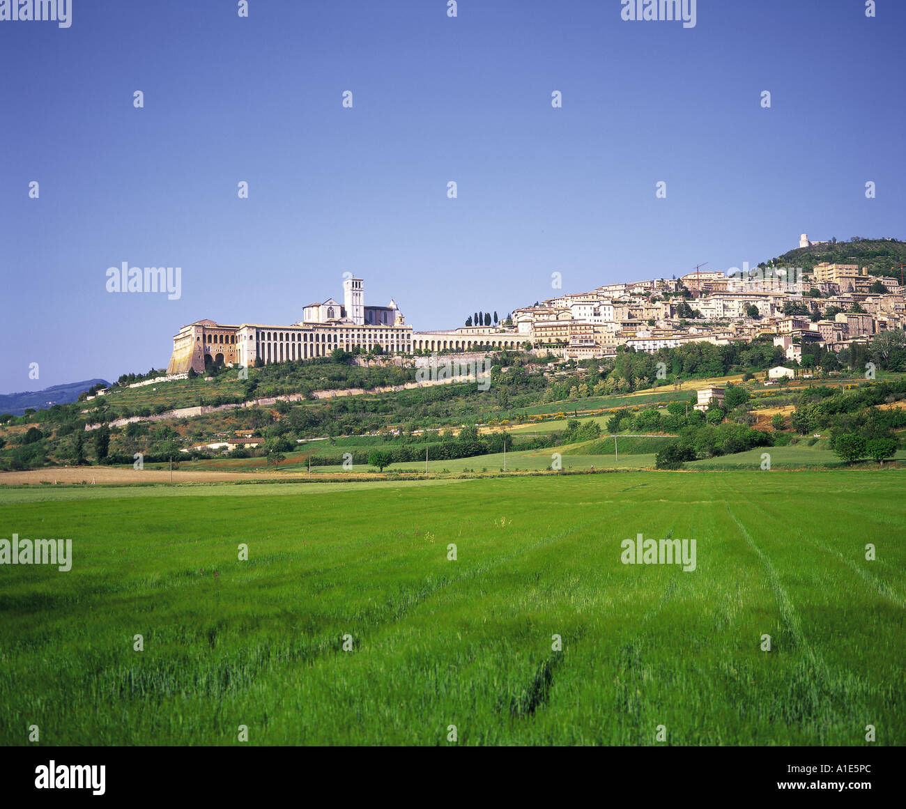 Basilica San Francesco and town of Assisi in Umbria Italy Stock Photo ...