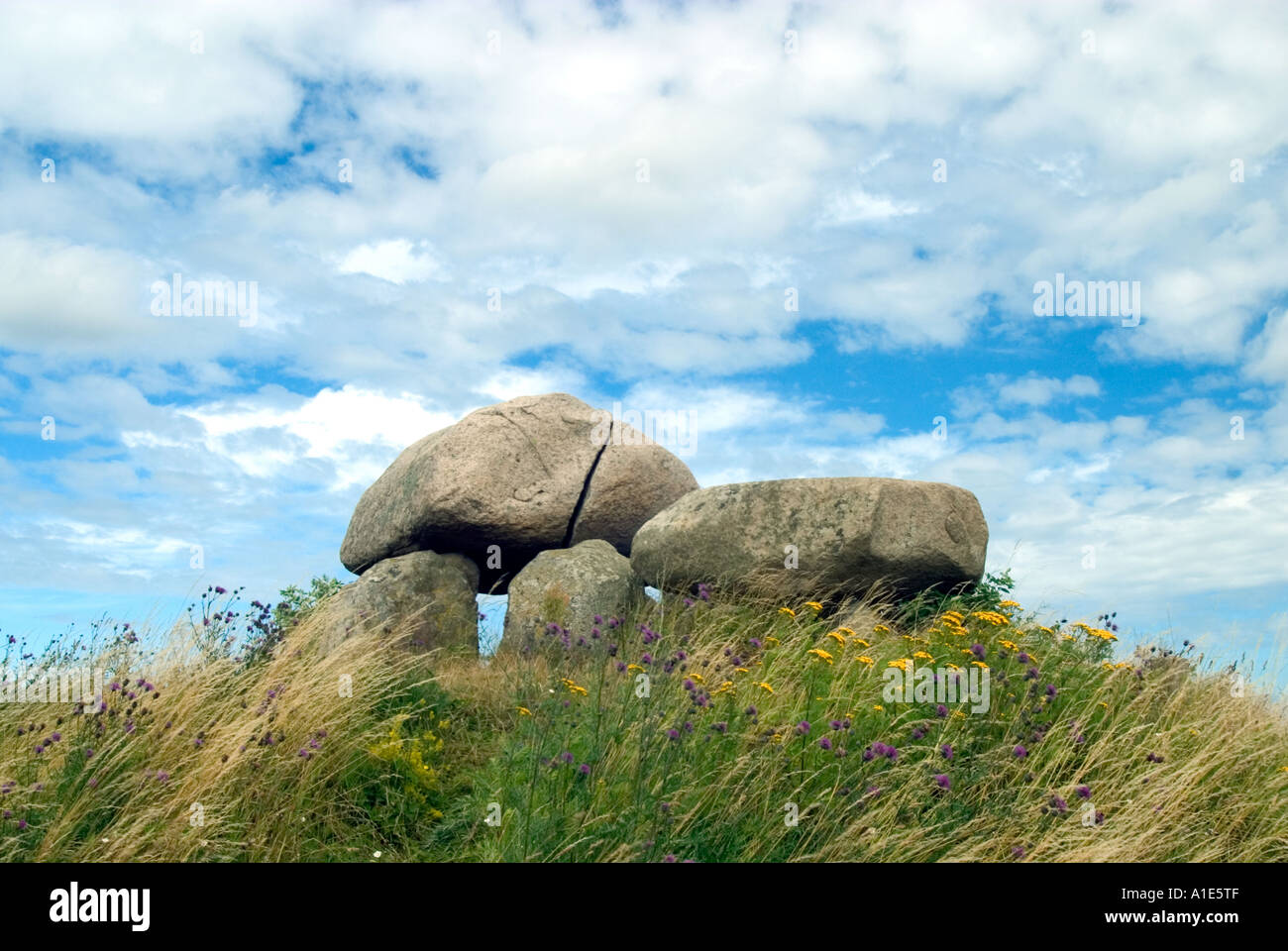 Denmark prehistory hi-res stock photography and images - Alamy